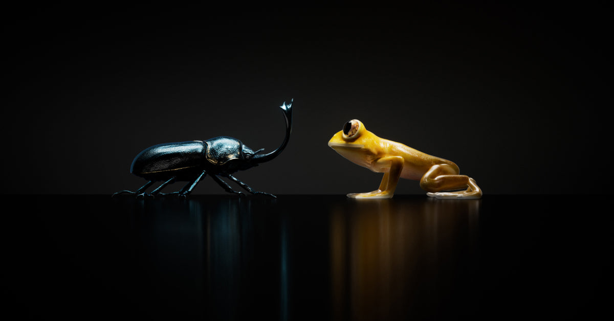 Software Download – Nothing Australia